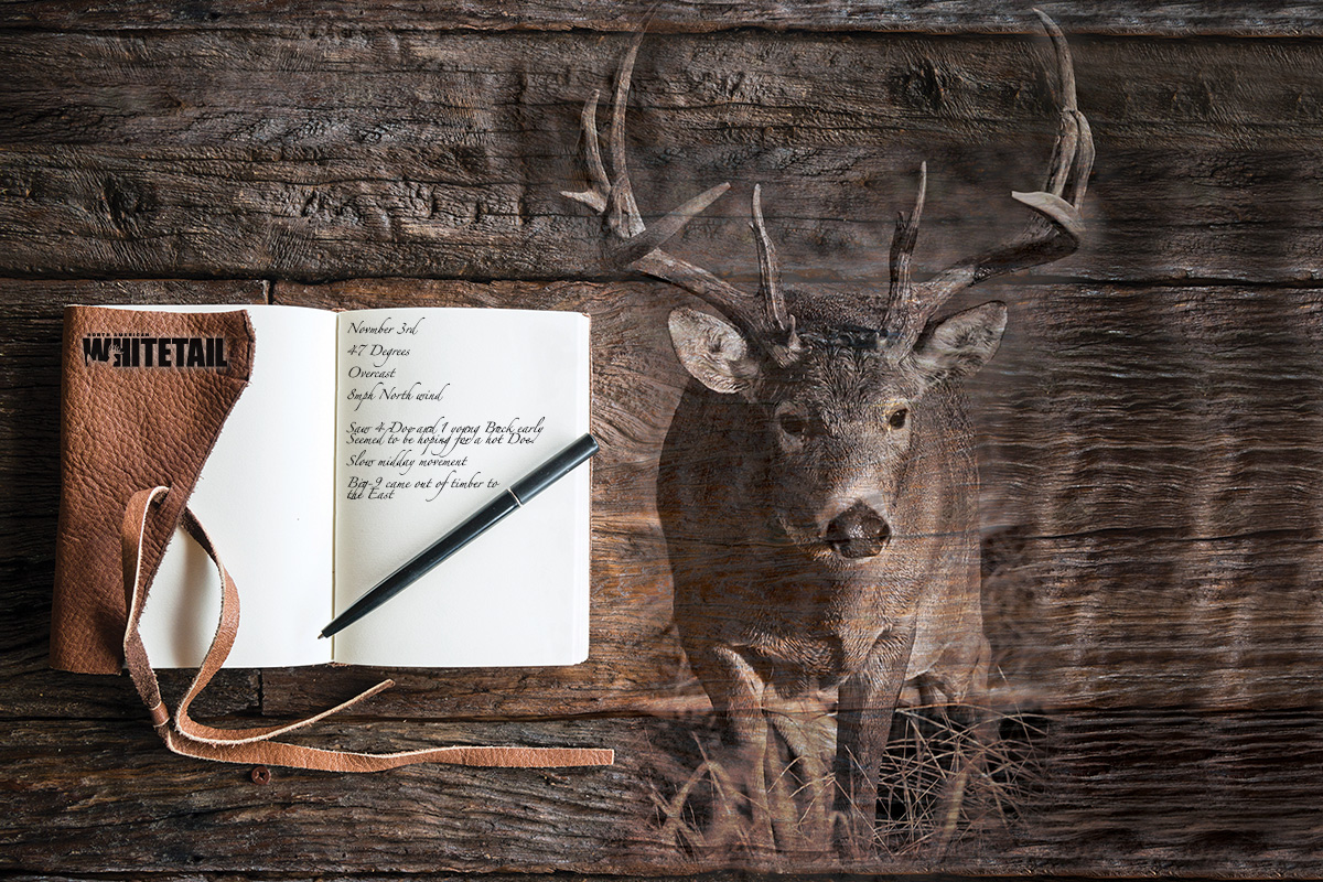 How Keeping A Deer Journal Can Make You More Successful North
