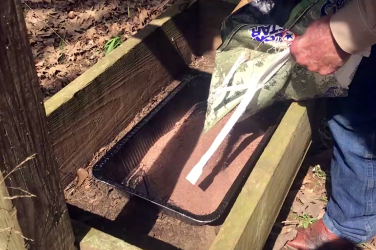 Which Minerals Do Deer Need North American Whitetail
