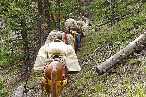 How to Rig a Packhorse - Game & Fish