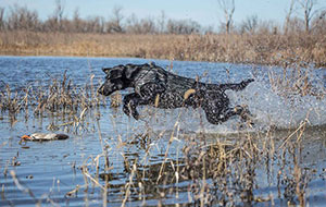 The Fowl Life with Chad Belding - Outdoor Channel