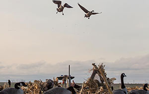 The Fowl Life with Chad Belding - Outdoor Channel