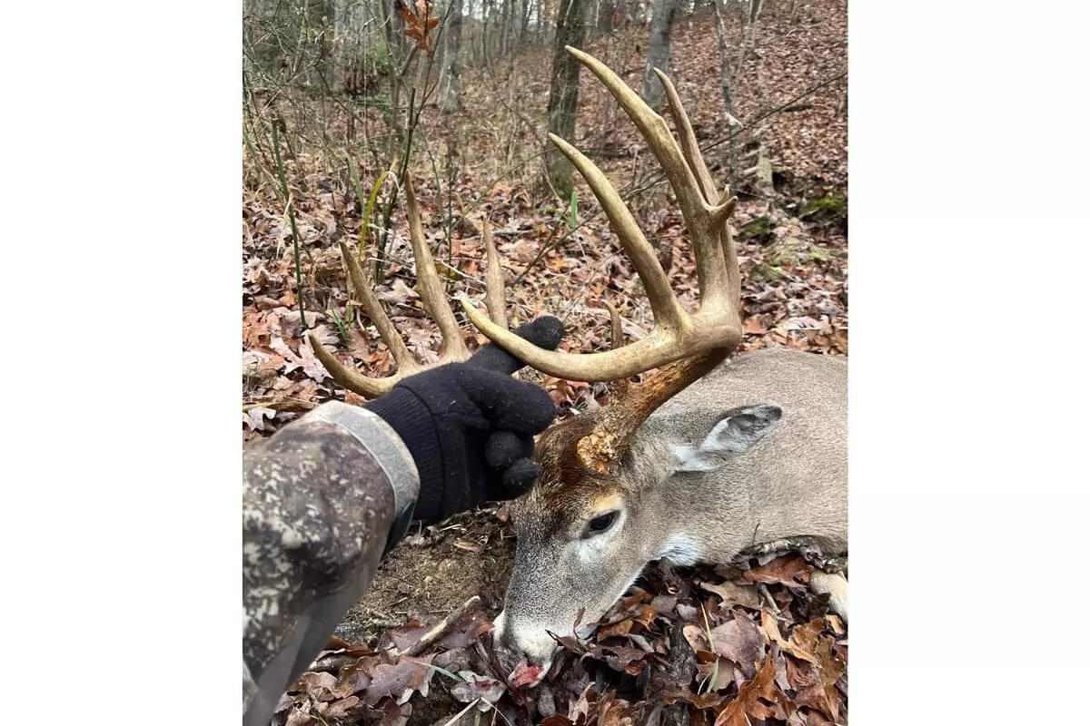Alabama Hunter Learns to Rattle, Then Tags Big Buck - North American ...