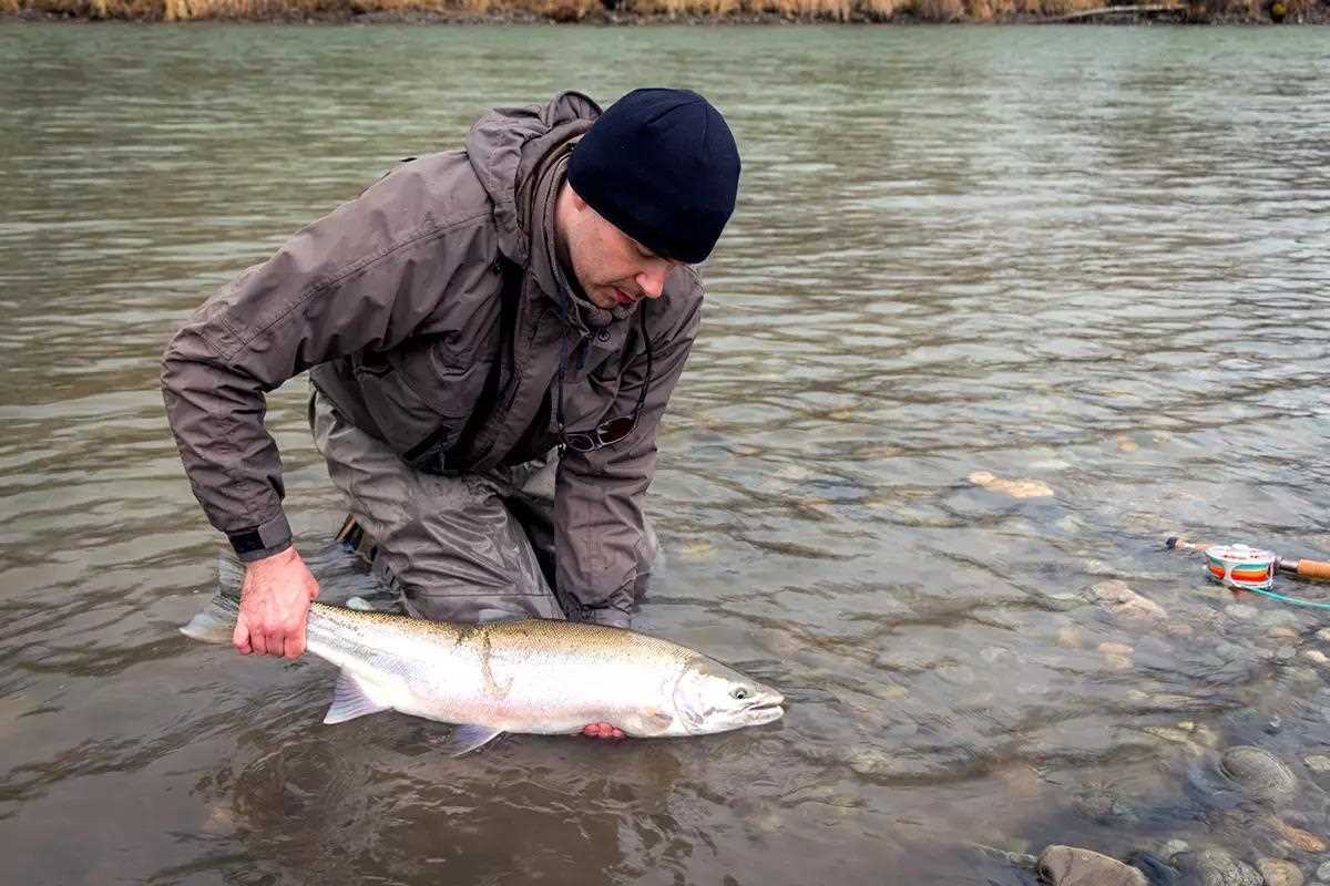 Canada Federal Budget Bad for Salmon and Steelhead - Fly Fisherman