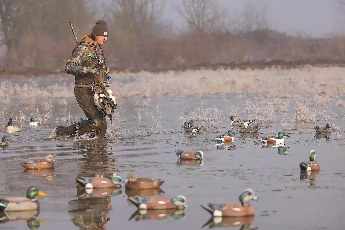 Make the Most of Late-Season Ducks with Decoy Refresh - Game & Fish