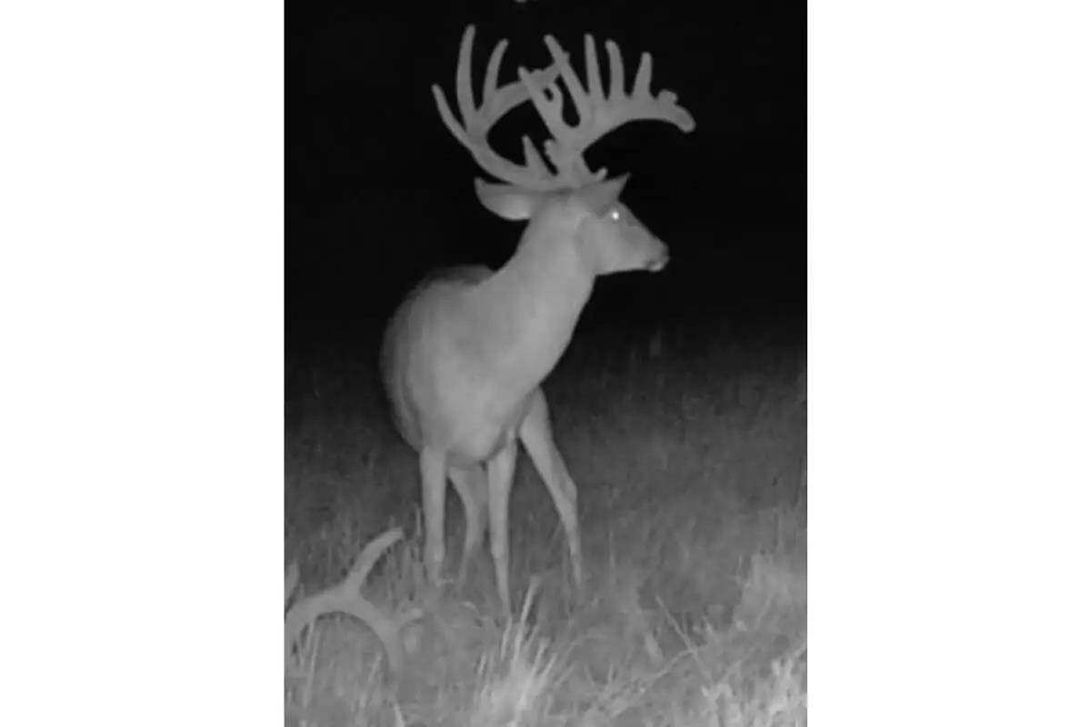 Rare Florida Giant: Hunter Finally Tags Massive 181-Inch Buc - North ...