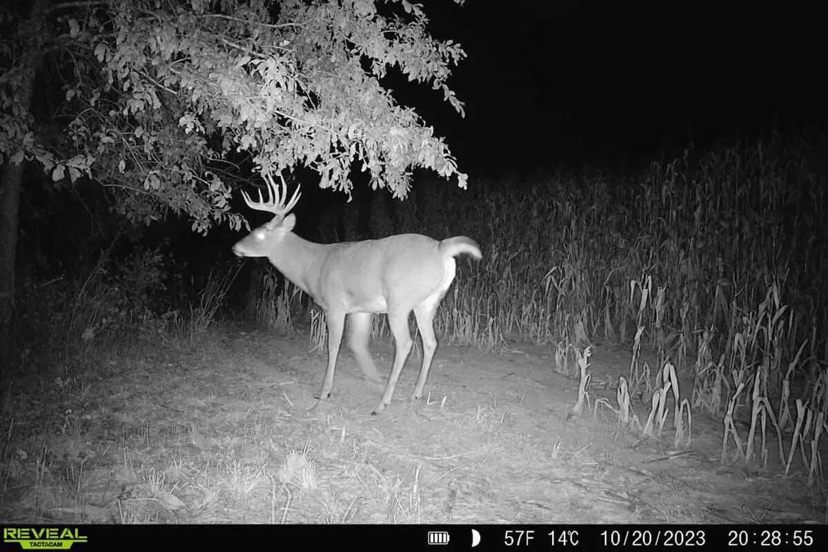 Self-Taught Bowhunter Tags a Dream Midwestern Buck - North American ...