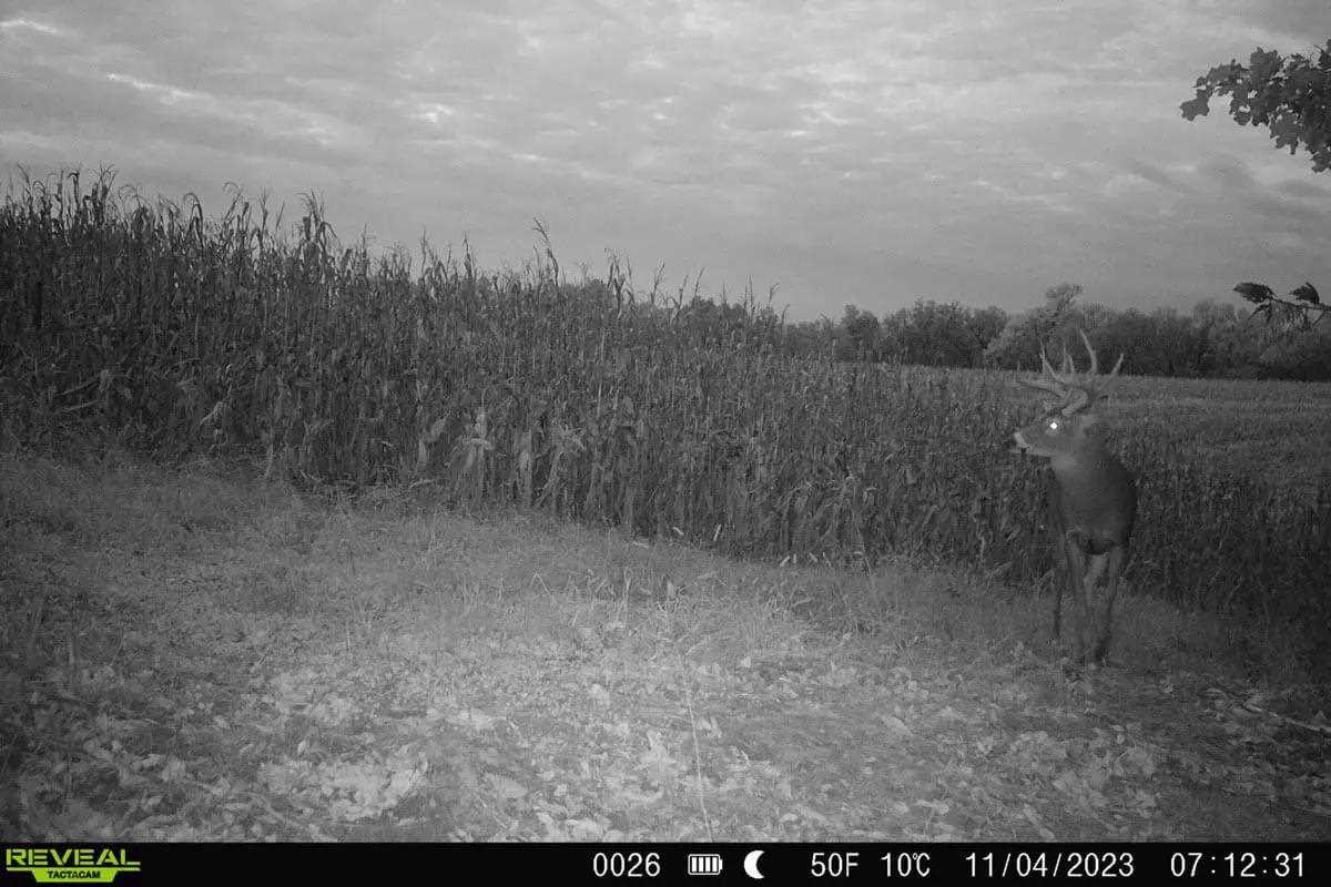 Self-Taught Bowhunter Tags a Dream Midwestern Buck - North American ...