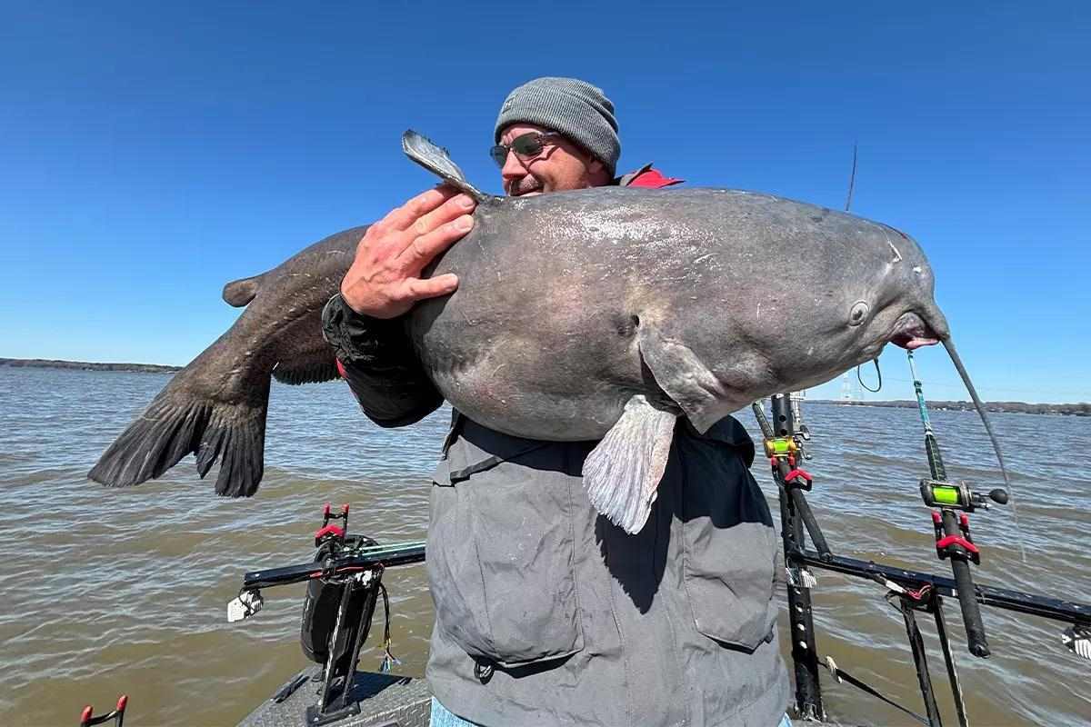 Unlock the Mystery of Fishing for Winter Blue Catfish - Game & Fish