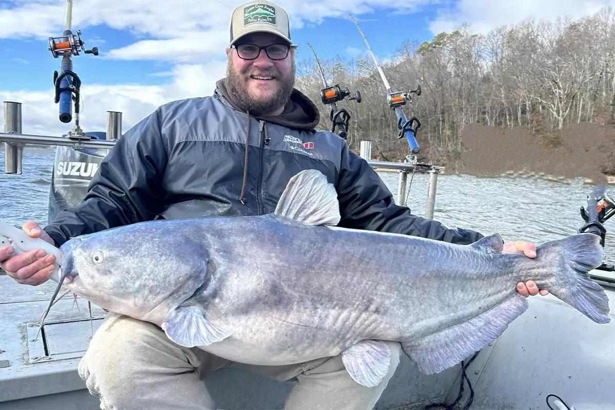 Unlock the Mystery of Fishing for Winter Blue Catfish - Game & Fish