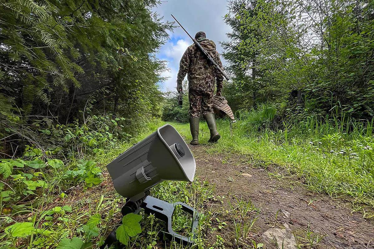Utilize Predator Calls to Maximize Your Bear Hunting Success - Petersen ...