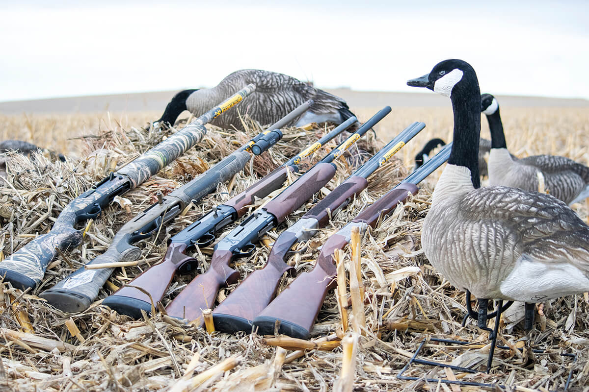 Killing Geese With All Shotgun Gauges Wildfowl